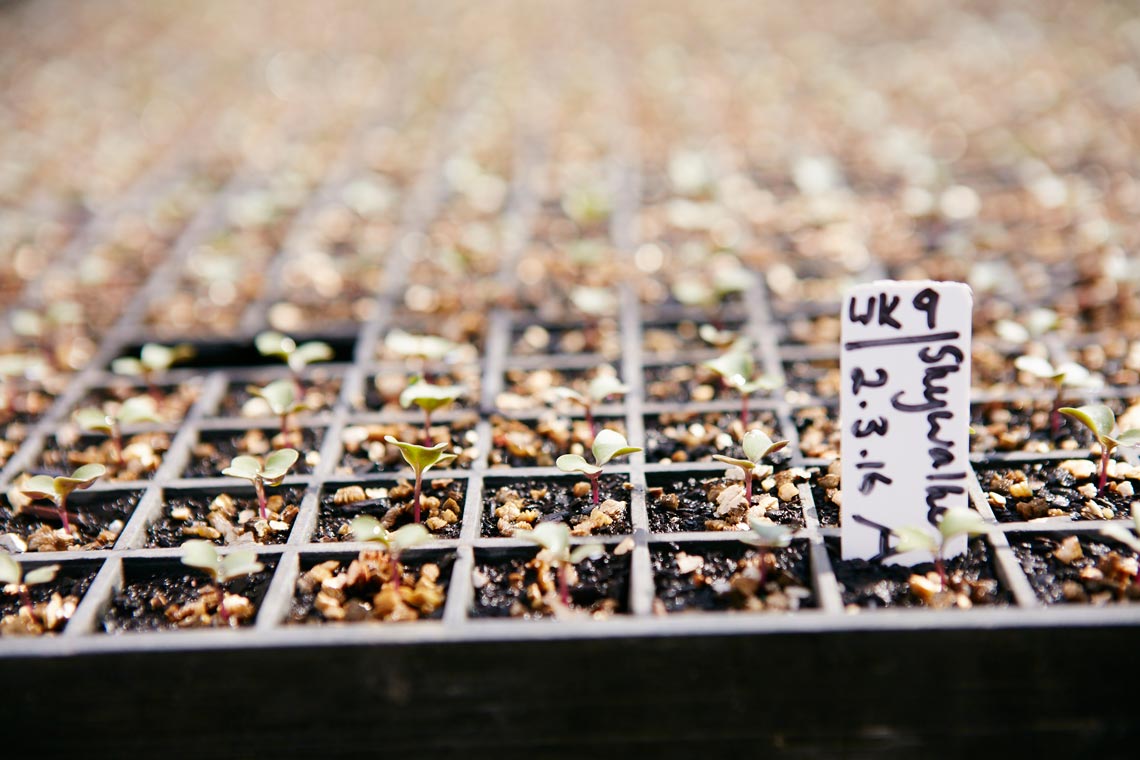 About us - Fresh Select